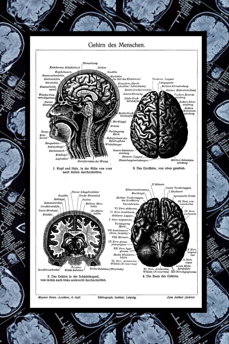 Sam Skylar Roxana Indira Melissa Kim Sheyari
